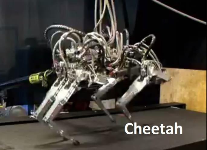 Project Paper: Design and Analysis of the Walking Mechanism